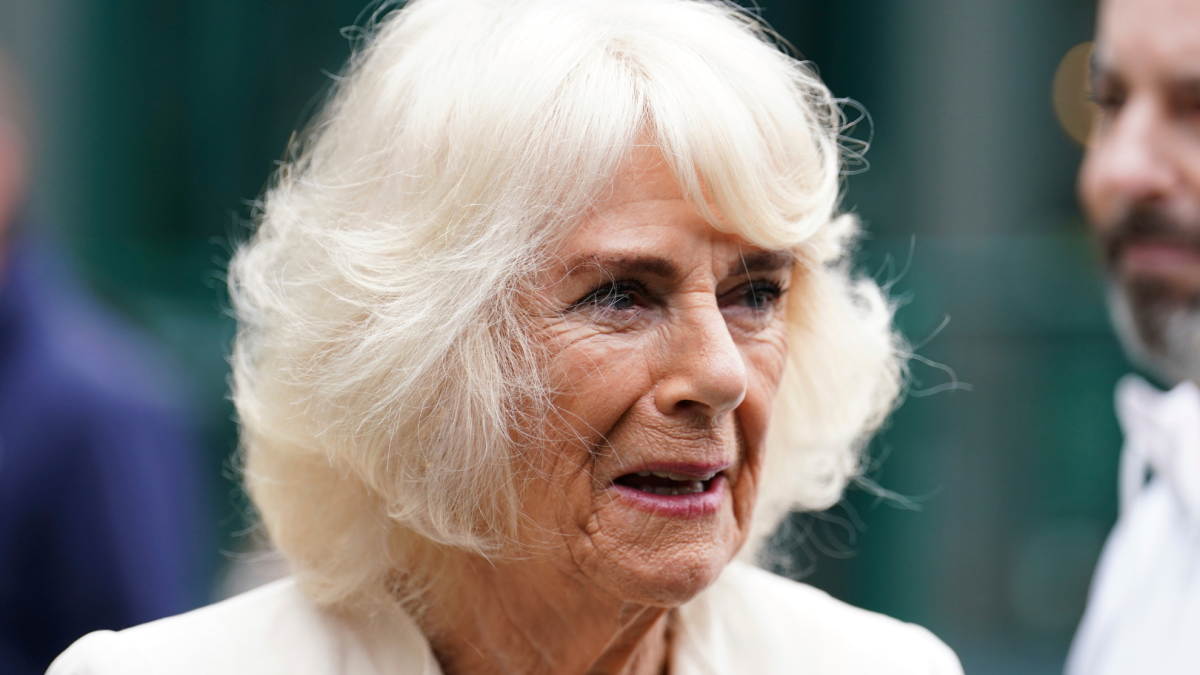 Queen Camilla blanks questions about Jeffery Epstein amid shocking ...