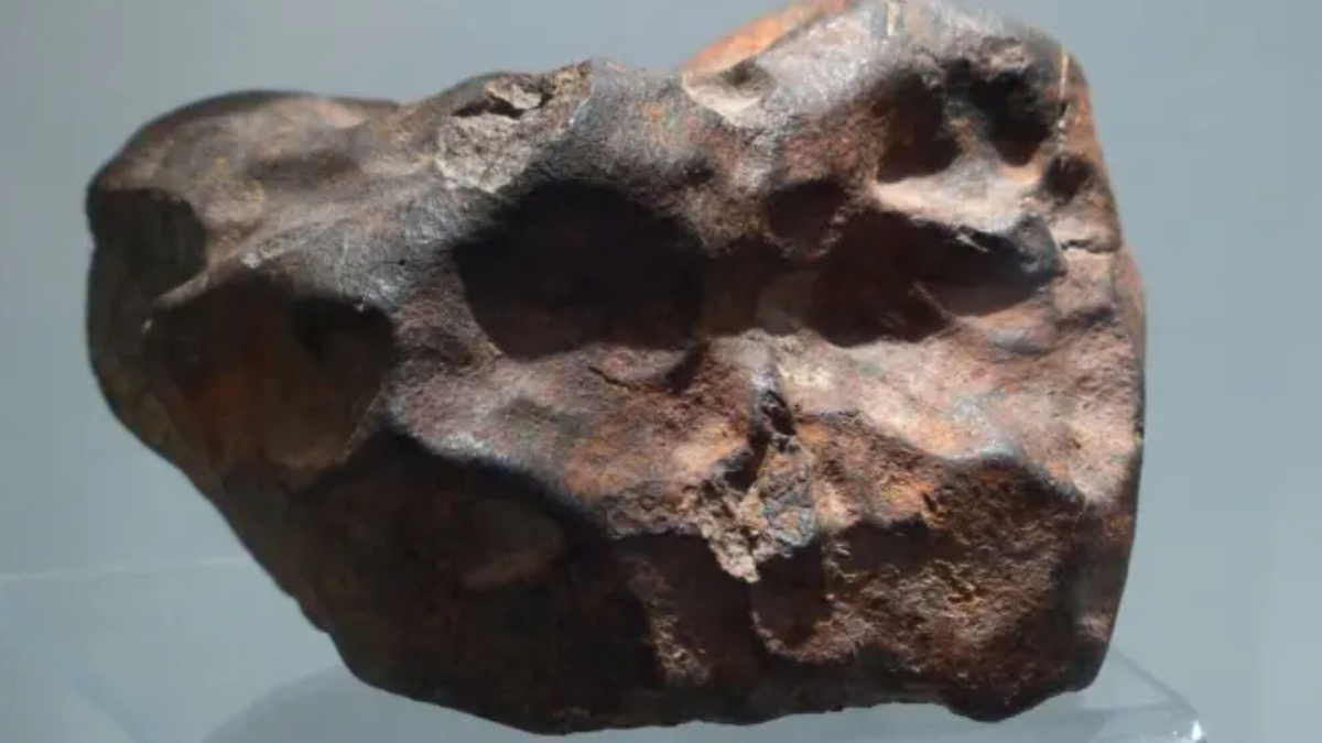 A strange rock found in an Australian nature park turns out to be a 4.6 ...
