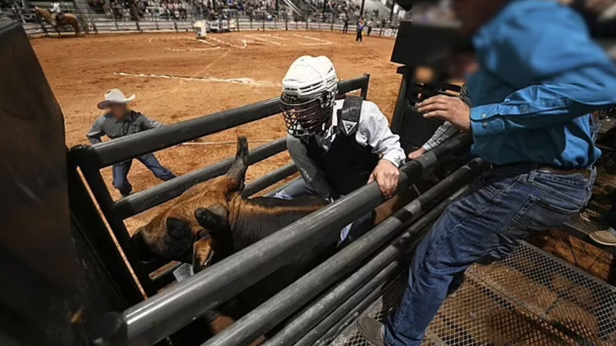 Louisiana rodeo rider miraculously survives after bull's horn pierces ...