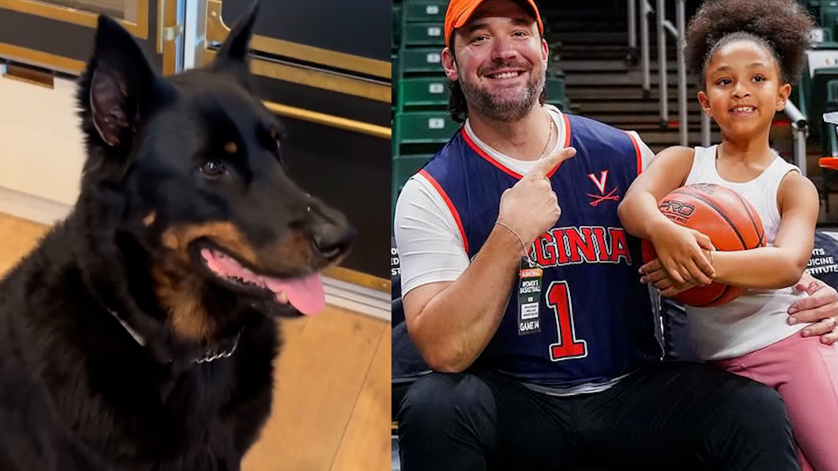 Alexis Ohanian captures a kitchen moment so hilarious it stole the ...