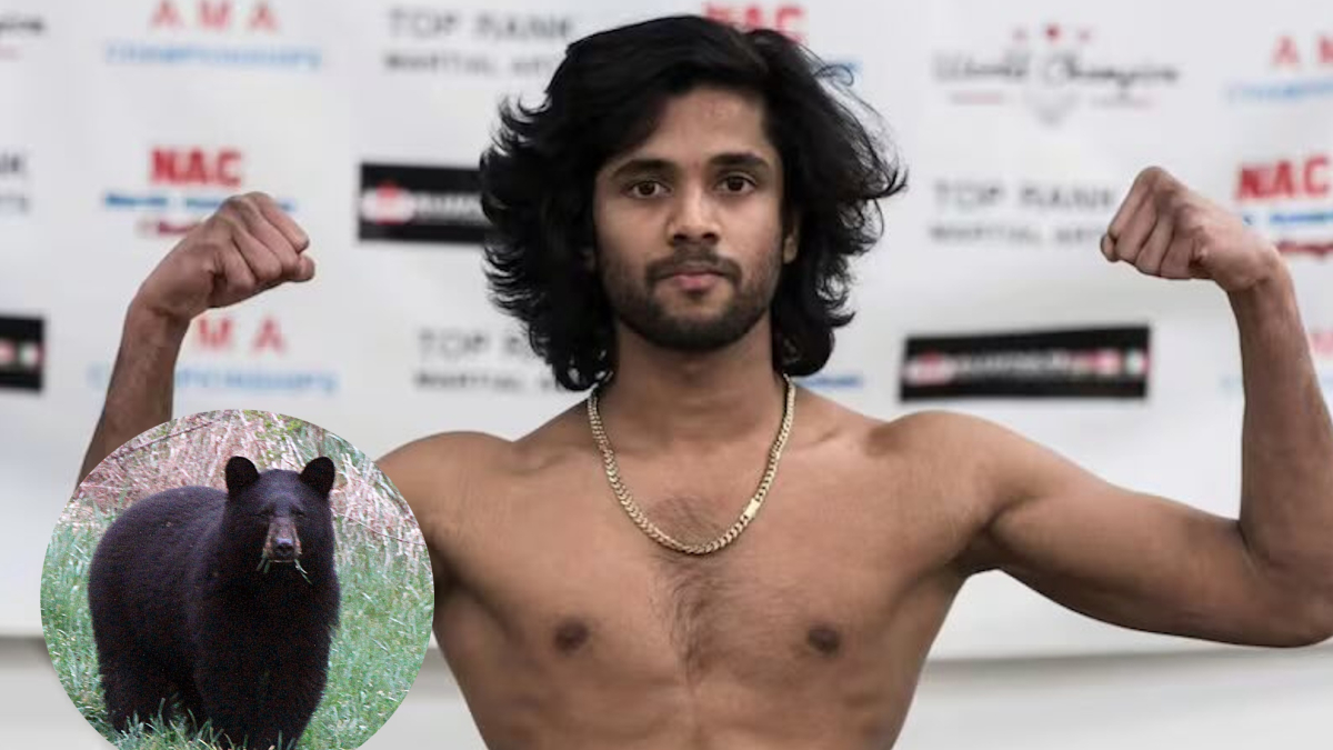 Tragedy in MMA: 27-year-old fighter dies following fatal bear attack ...