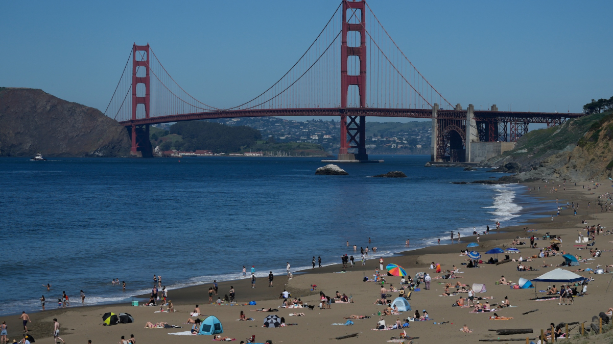 San Francisco World Cup Guide: Matches, stadium, transportation and ...