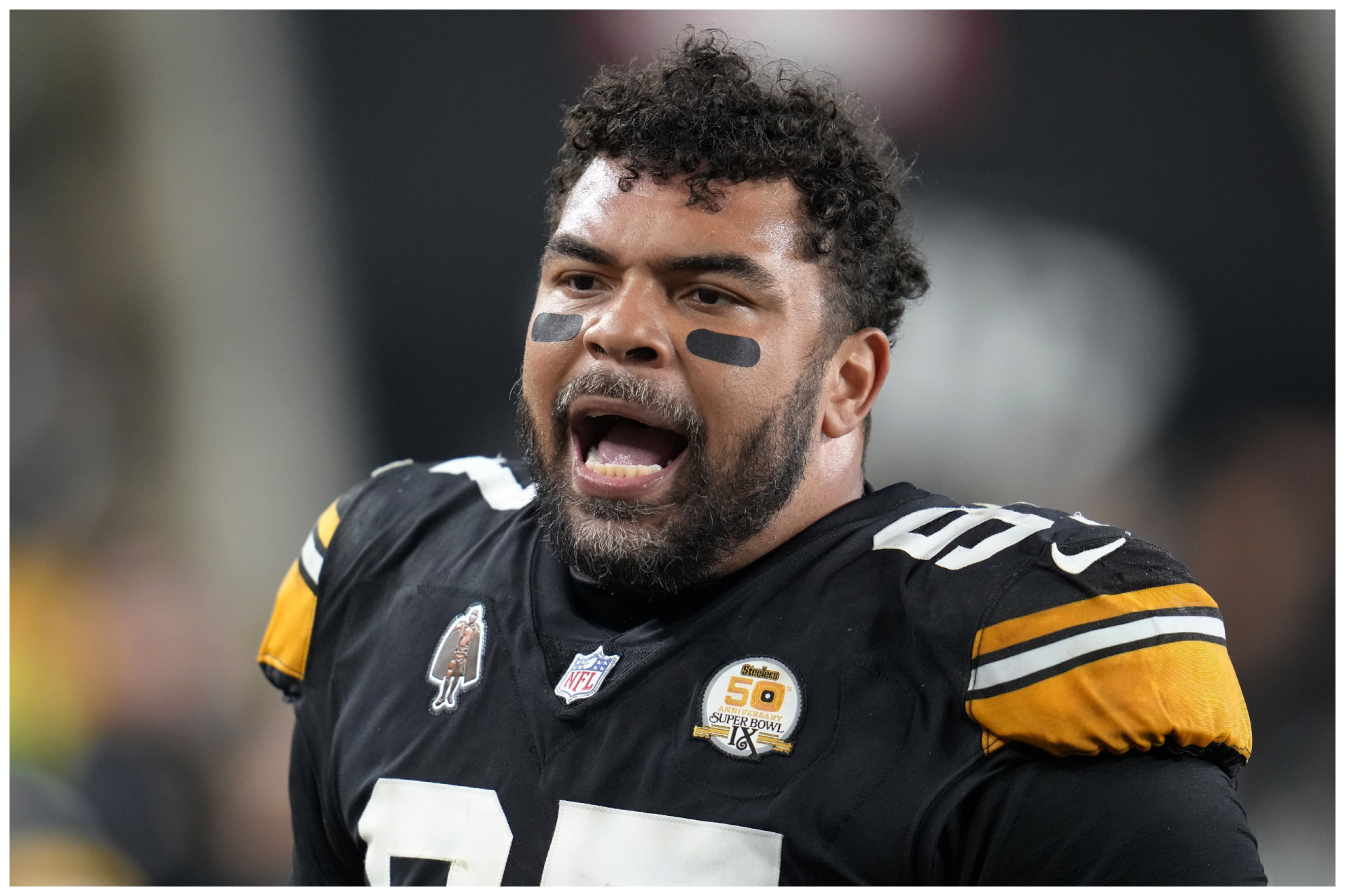 Cameron Heyward - Latest News | MARCA English