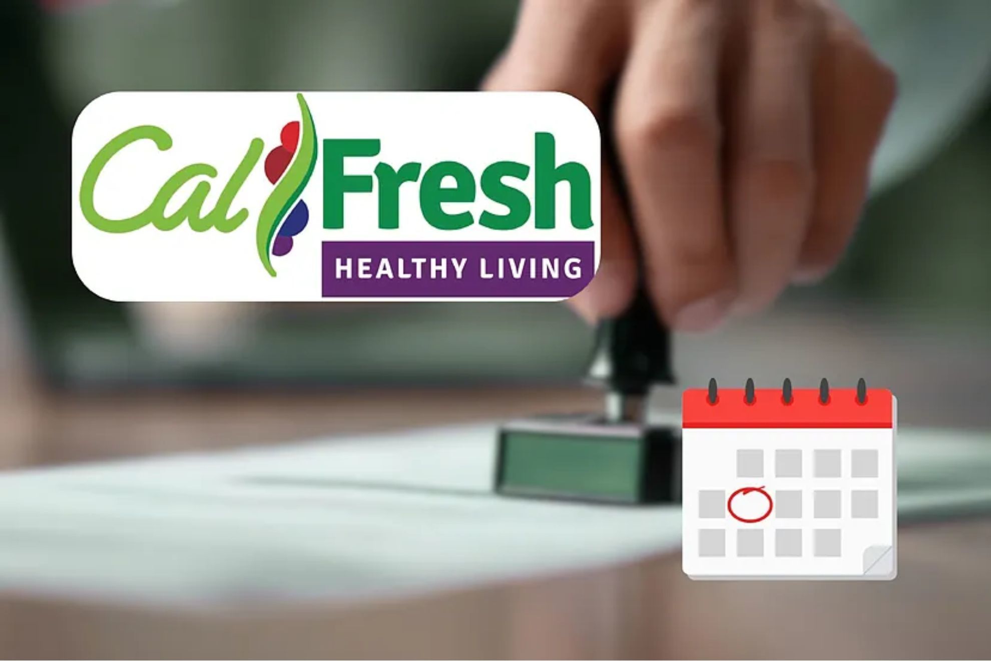 CalFresh Recertification: How to renew your food stamps in February ...
