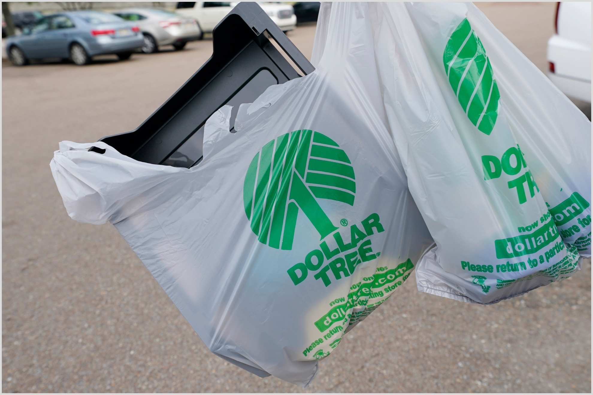 Dollar Tree Black Friday Hours 2025: Deals, discounts, and everything ...