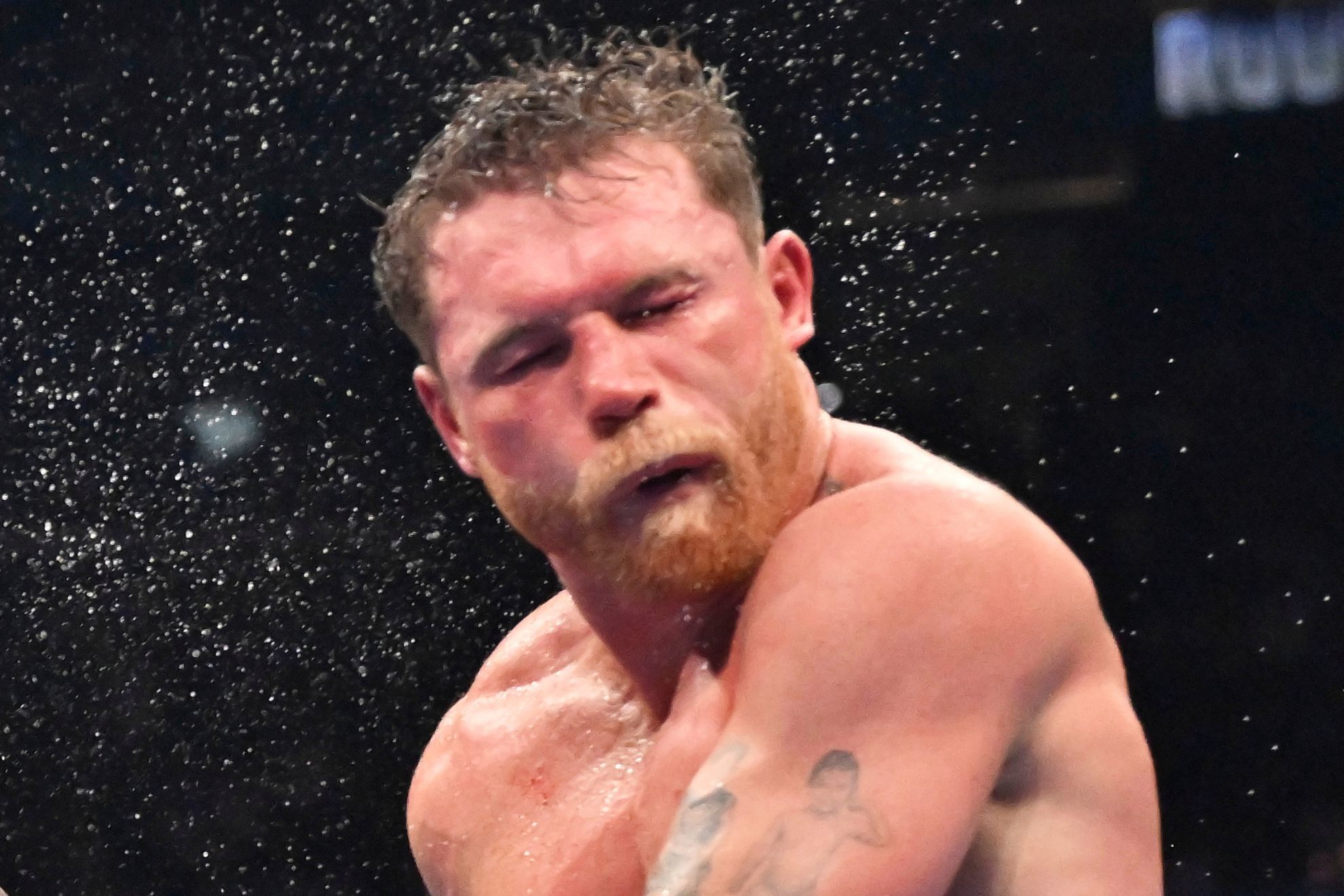 Canelo Alvarez - Latest News | MARCA English