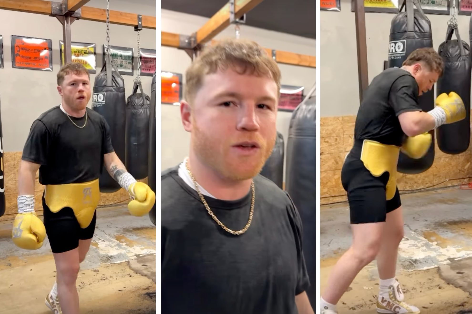 Canelo Alvarez - Latest News | MARCA English