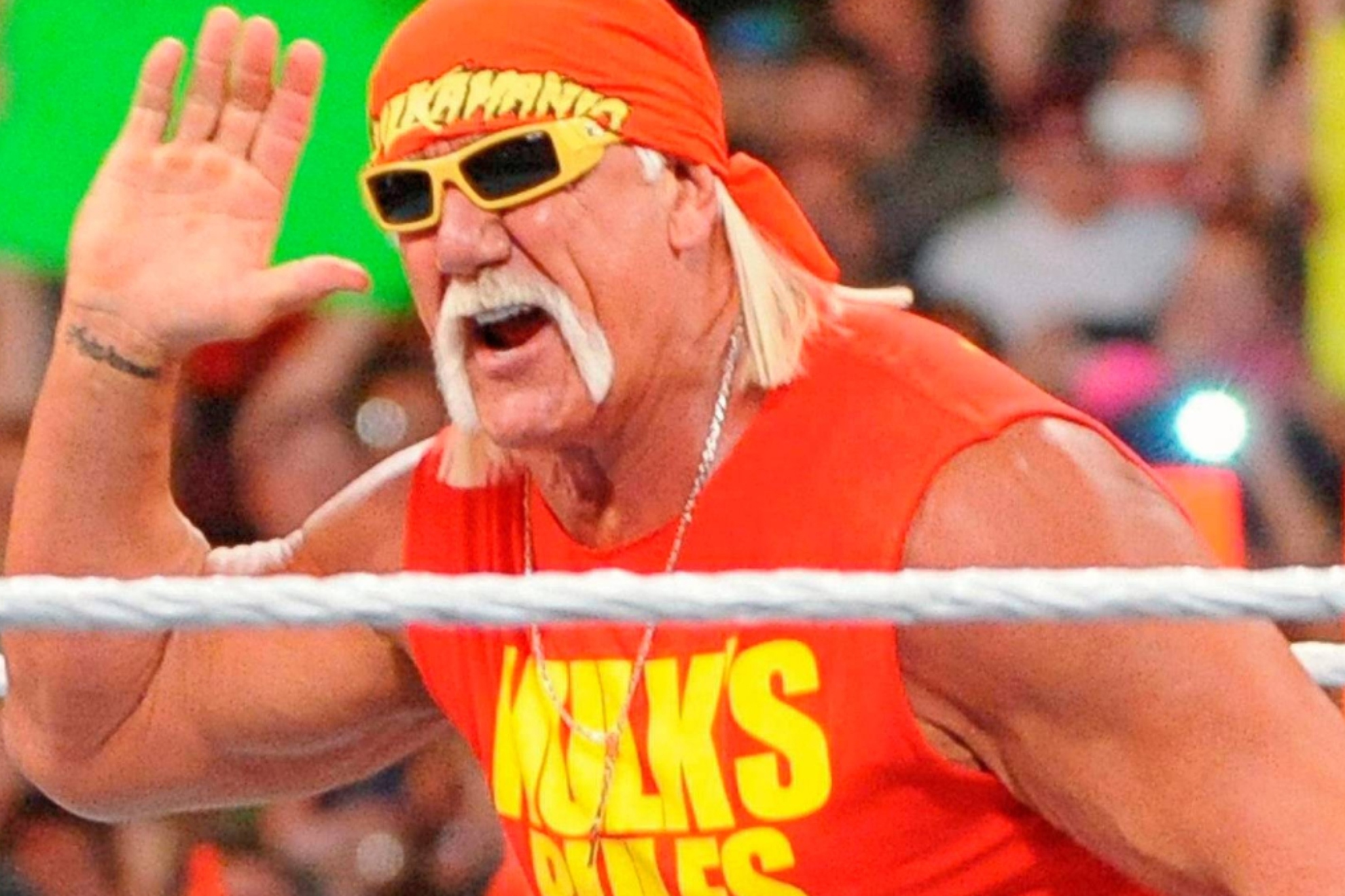 The causes of Hulk Hogan's death are released: foul play and ...